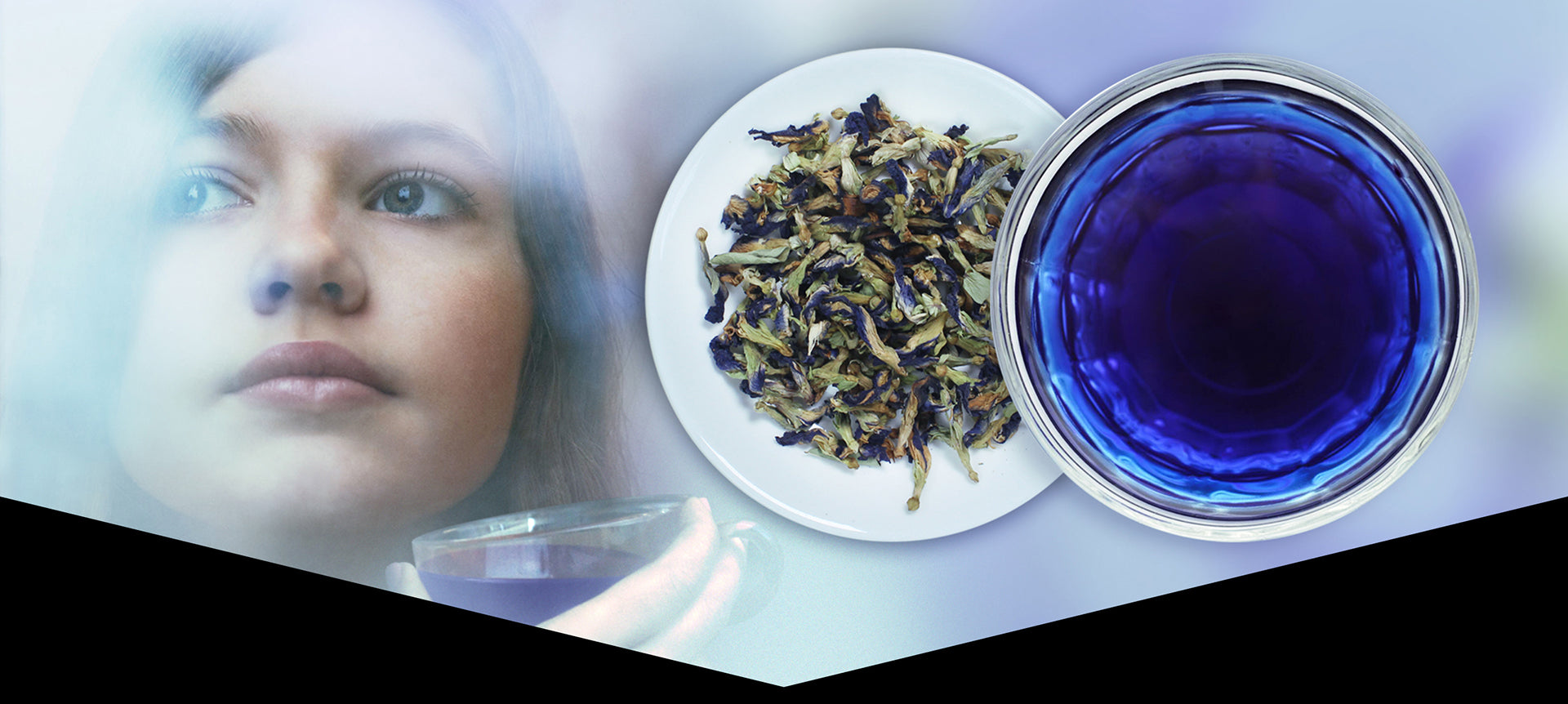 Infinitea Originals: Darjeeling Teas, Tisanes & Exclusive Blends